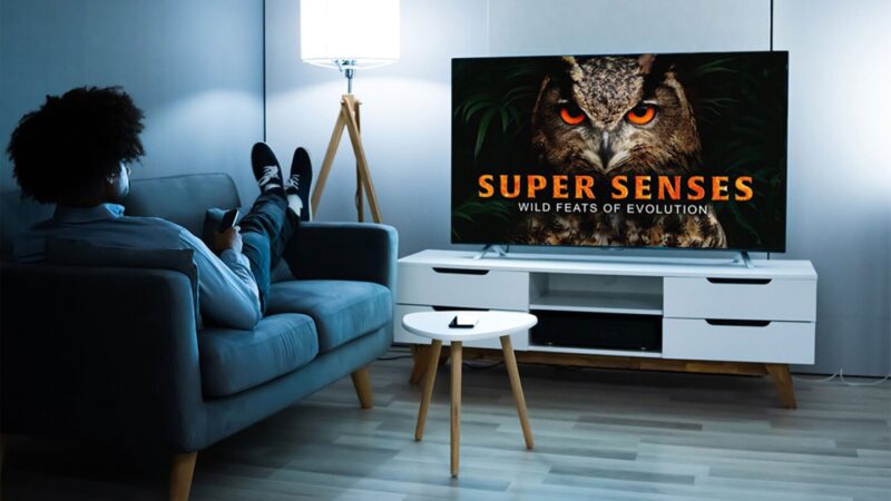 Le nouveau concurrent de Netflix sans frais d'abonnement | Series 80